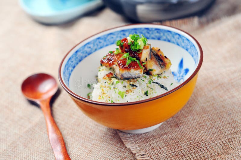 Japanese eel rice stock image. Image of cucumber, grilled - 74307523