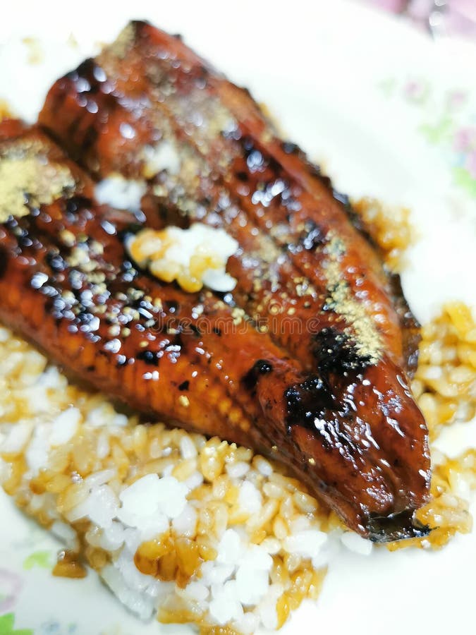Japanese Eel on the Top of Rice Stock Photo - Image of seafood, rice ...