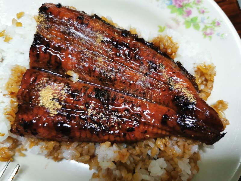 Japanese Eel on the Top of Rice Stock Image - Image of rice, japanese ...