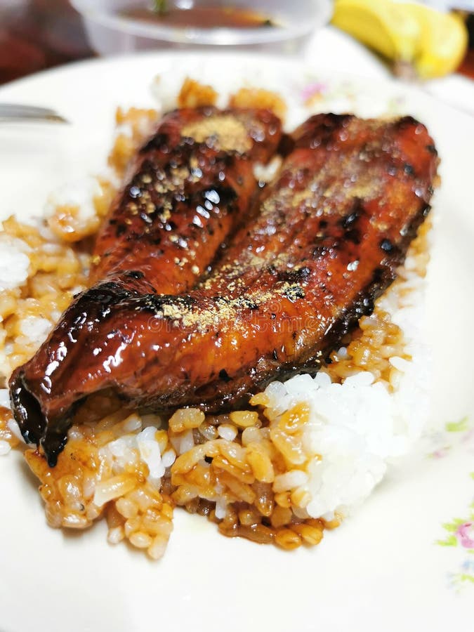 Eel rice stock photo. Image of food, tofu, style, japan - 23132078