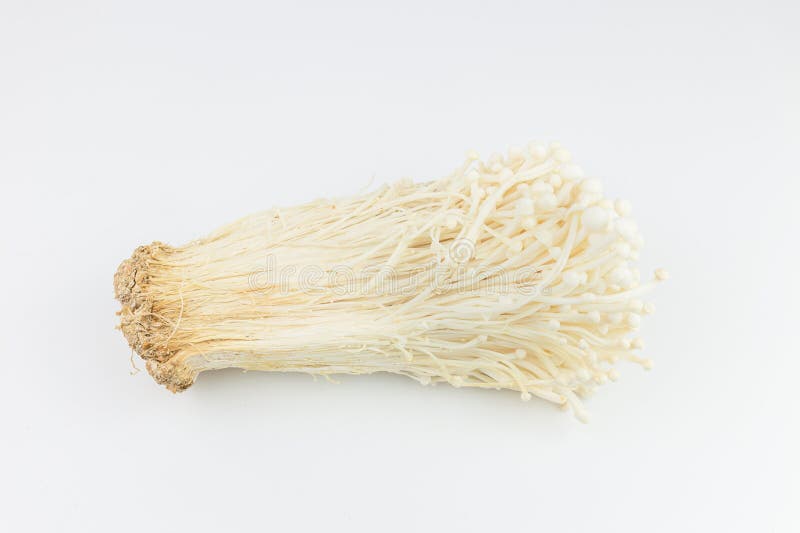 Japanese Enoki Mushroom, Enoki Mushroom Isolated on White Background ...