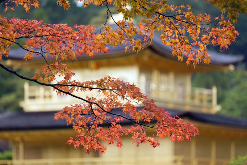 Japanese fall colors stock image. Image of autumn, japan - 24170189