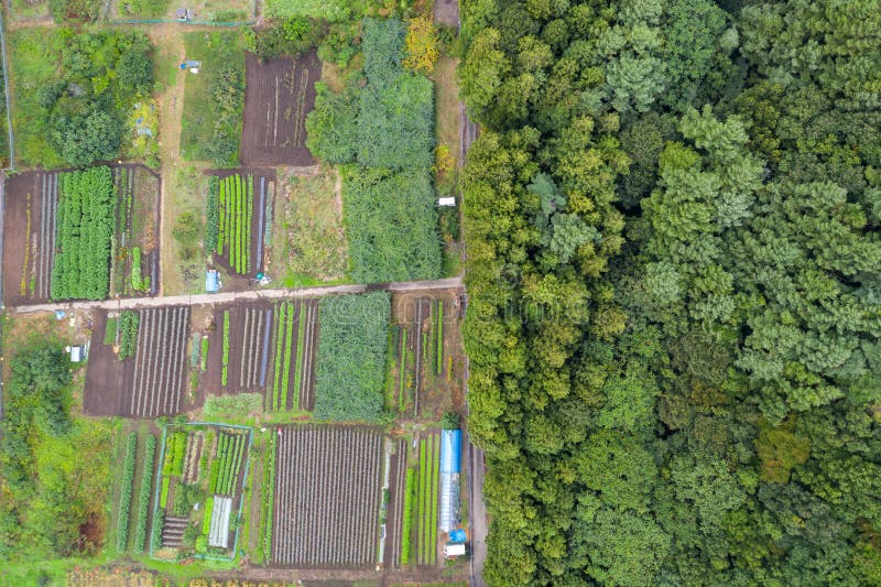 Old Japanese farm house stock photo. Image of nature - 109230128