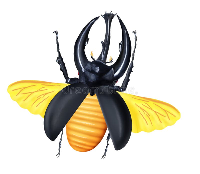 Japanese Flying Beetle Bug stock illustration. Illustration of pincher ...