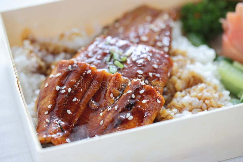 Japanese Food Eel Grilled with Rice Unagi Don Stock Photo - Image of ...
