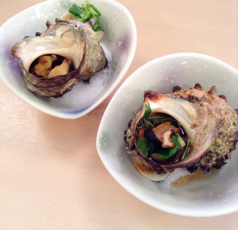 Sazae Shell Stock Photos - Free & Royalty-Free Stock Photos from Dreamstime