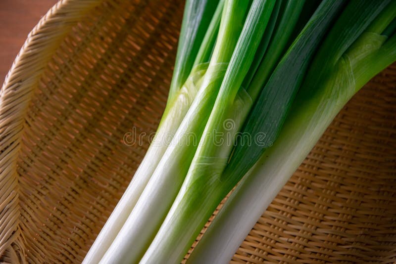 Japanese Fresh Green Scallion. Stock Photo - Image of fragrant, diet ...