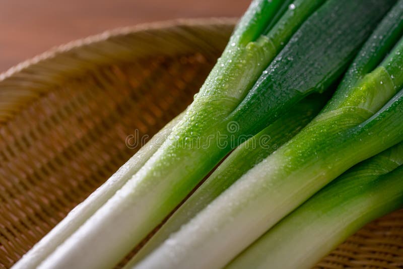Japanese Fresh Green Scallion. Stock Image - Image of leek, flavor ...