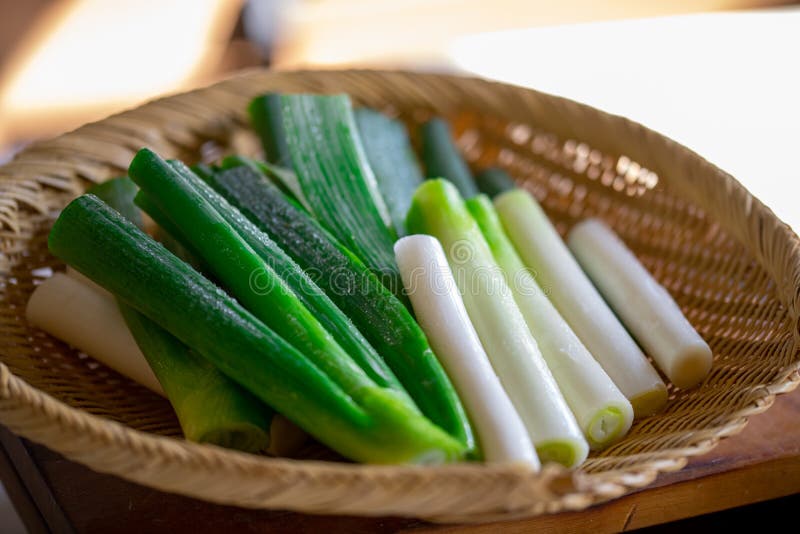 Japanese Fresh Green Scallion. Stock Image - Image of delicious ...