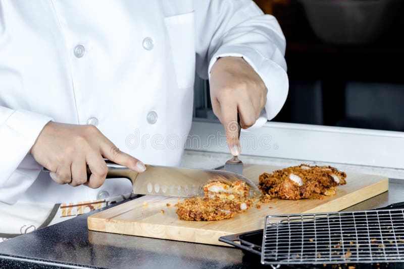 Japanese fried pork stock photo. Image of loin, dish - 64601488