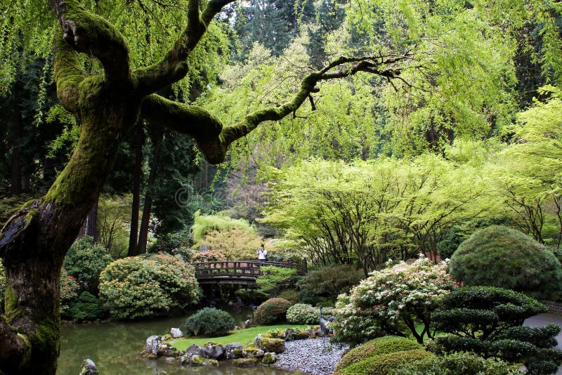 Japanese Garden stock image. Image of stream, stand, grass - 693467