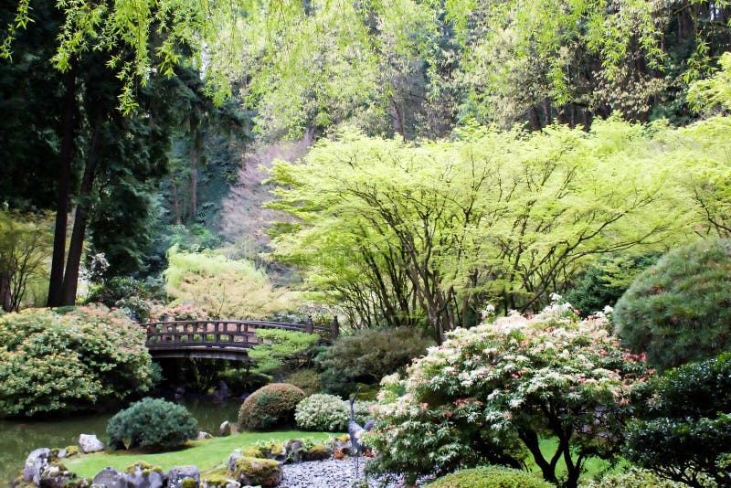 Japanese Garden stock image. Image of fresh, colorful, tree - 693475