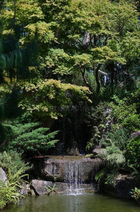 Japanese garden cascade stock image. Image of botanical - 90676877