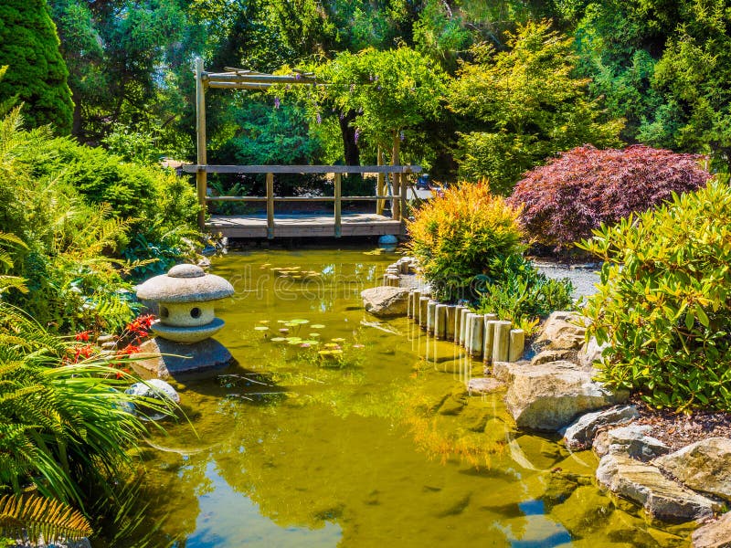 Red Bridge in Japanese Garden Stock Image - Image of landscaping ...