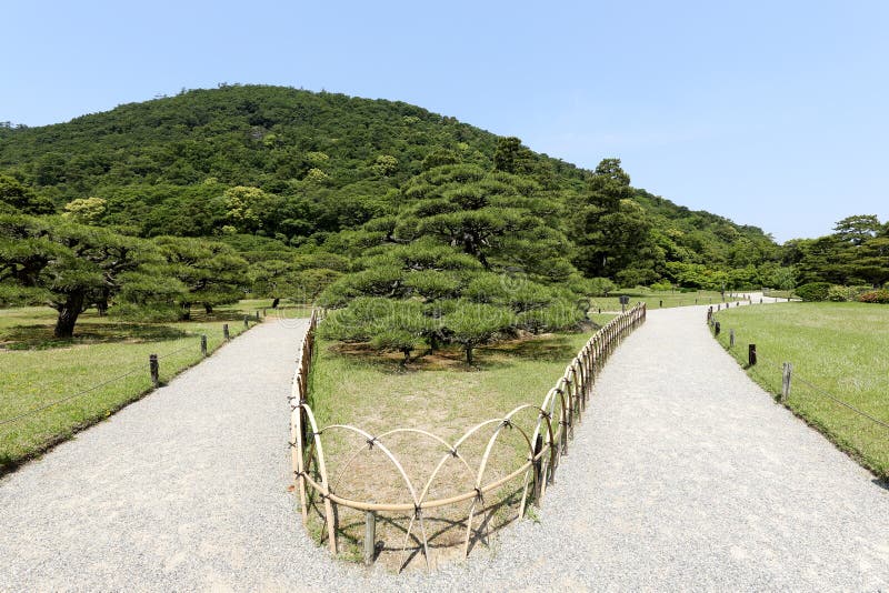 Japanese Garden with Pine Trees Stock Photo - Image of mountain ...