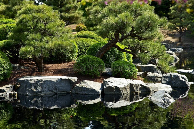 Small Conifers on the Rock Garden Stock Image - Image of conifer, trees ...