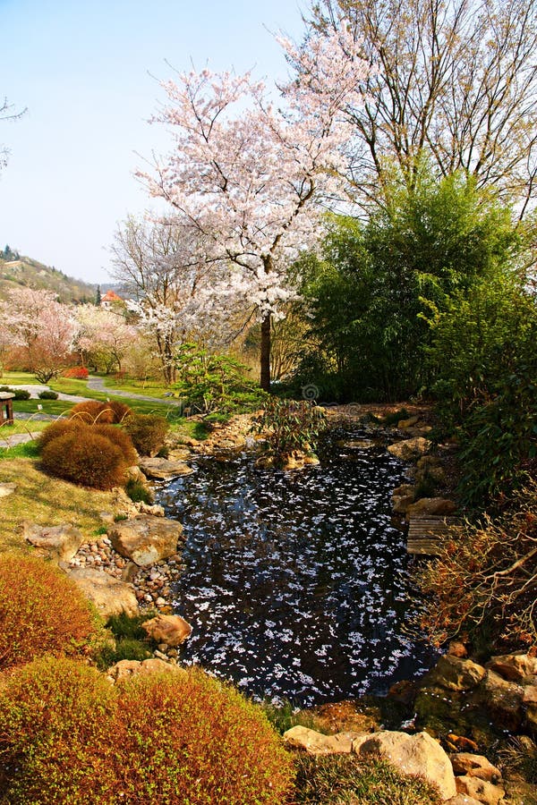 Japanese garden pond stock photo. Image of historic, japanese - 39408784