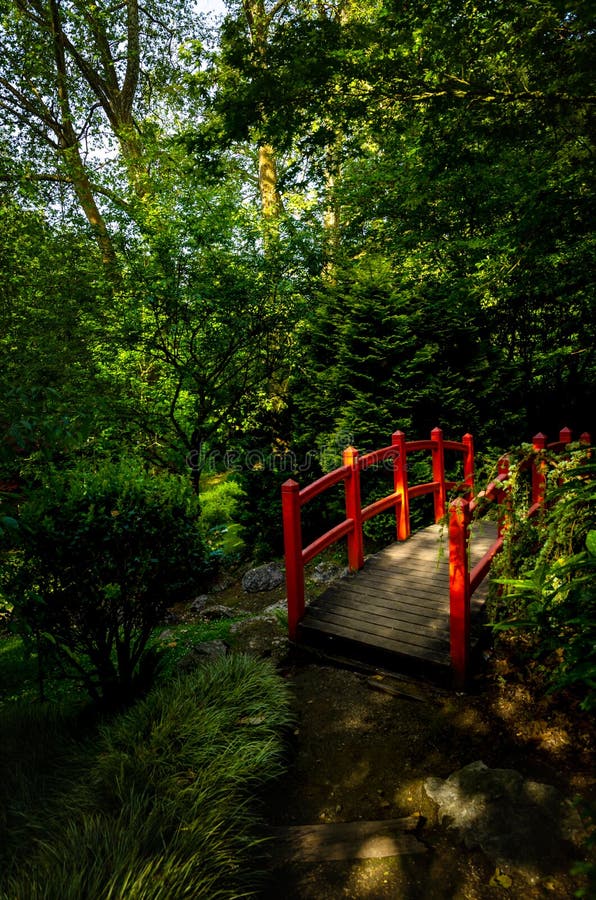 Japanese Garden with Red Bridge Stock Image - Image of garden, beauty ...
