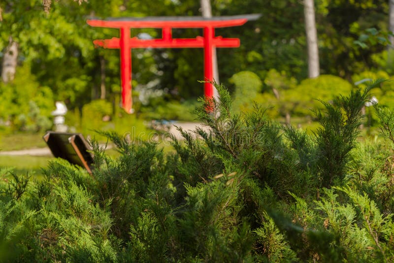 Japanese Garden with a Red Gate in Summer Stock Photo - Image of plants ...
