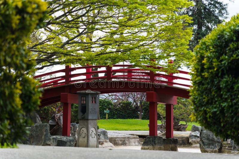 Red Wood Bridge in Japanese Tea Garden Stock Image - Image of bridge ...