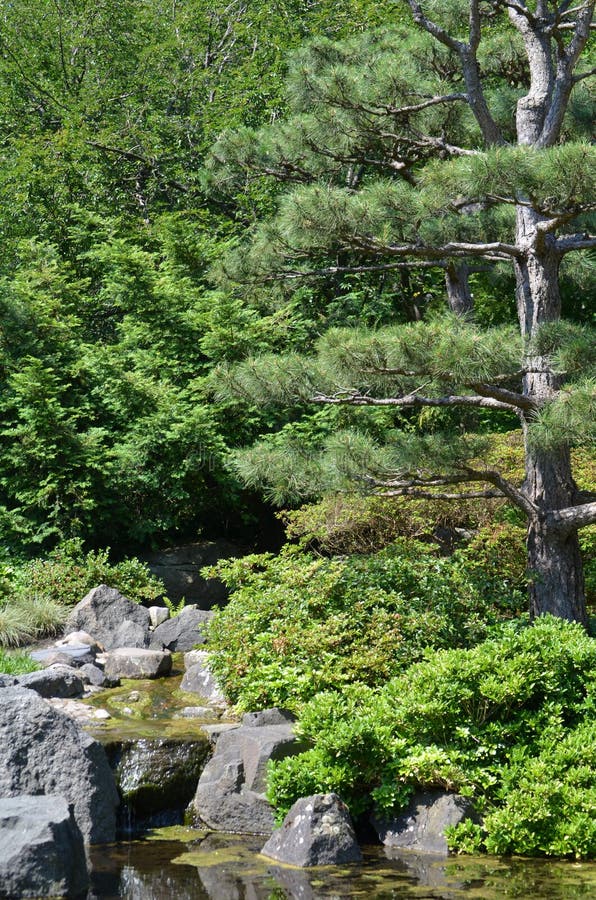 Japanese garden stock photo. Image of brook, landscape - 66214218
