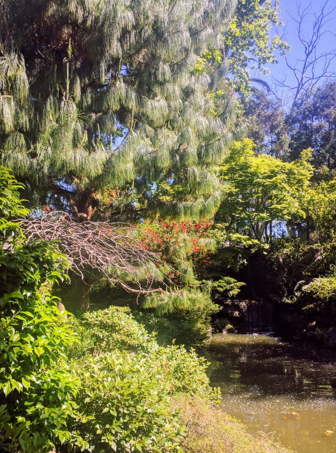 Japanese garden waterfall stock image. Image of outdoor - 104561203