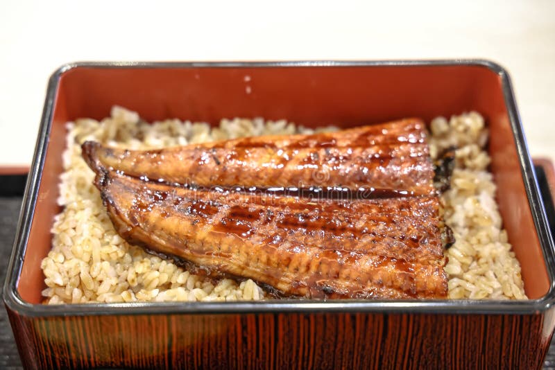 Japanese Grilled Eel with Rice in Traditional Bento Box Stock Image ...