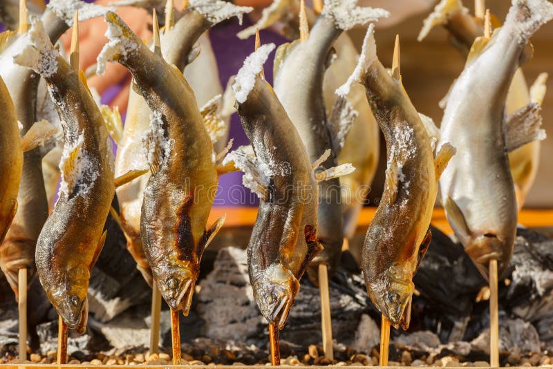 Japanese grilled fish stock image. Image of prepared - 41568593