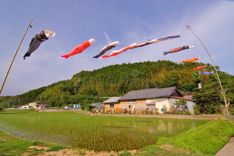 Japanese Koi-nobori Wind Socks Blowing in the Wind Stock Photo - Image ...