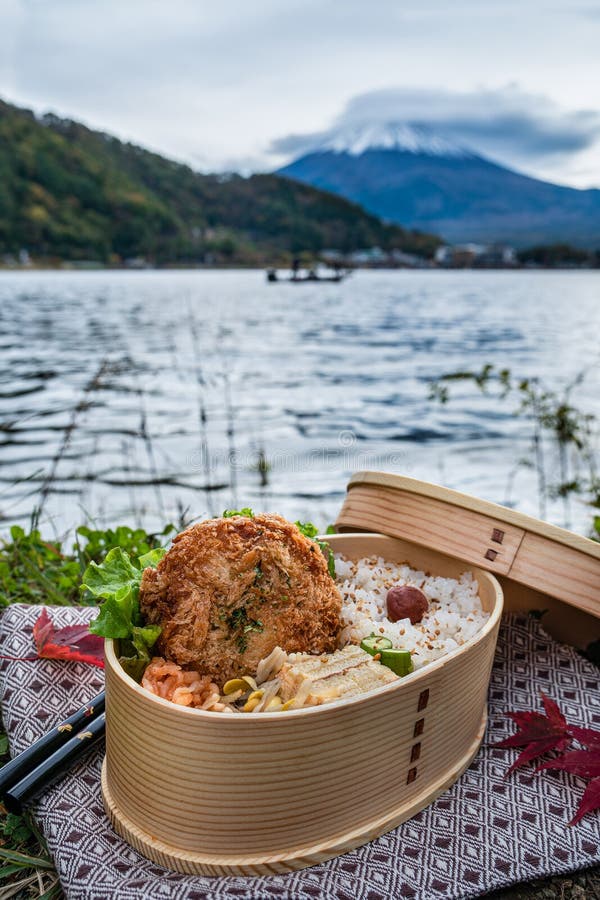 Mount Fuji Roll Stock Photos - Free & Royalty-Free Stock Photos from ...