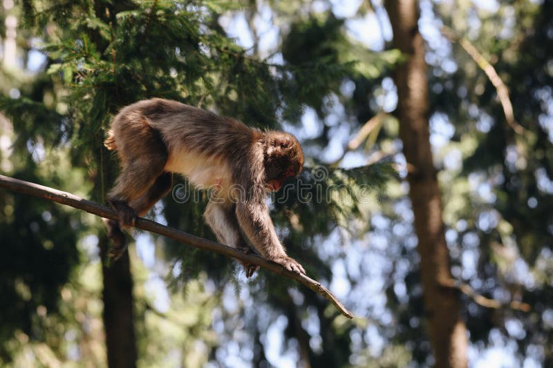 Cute Brunch Places Stock Photos - Free & Royalty-Free Stock Photos from ...