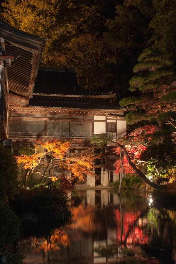 Japanese Maple Tree Reflecting on the Pond Stock Photo - Image of ...