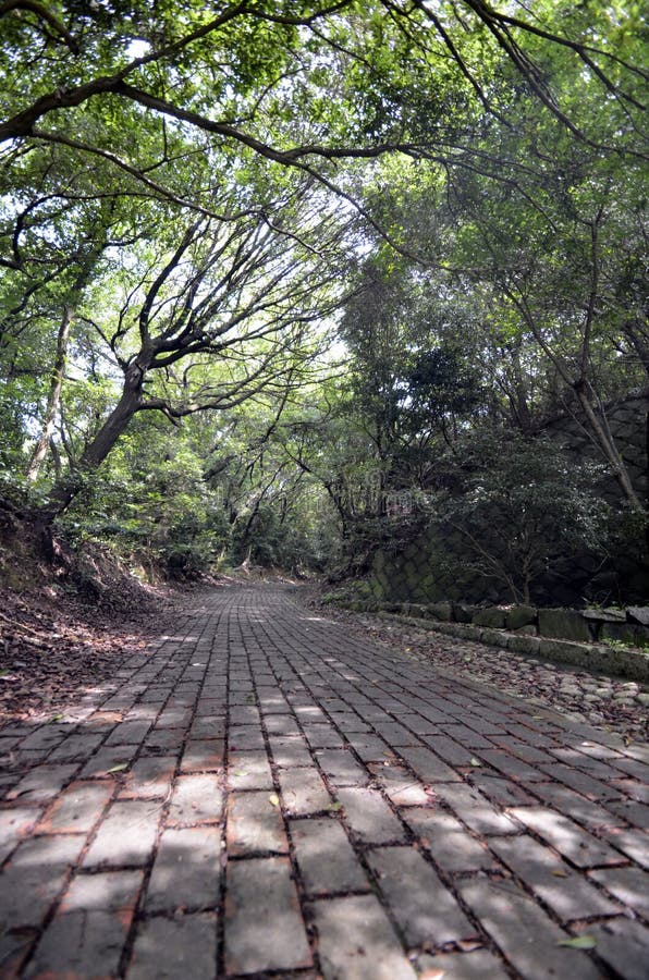 Japanese mountain path. stock image. Image of bright - 95641499