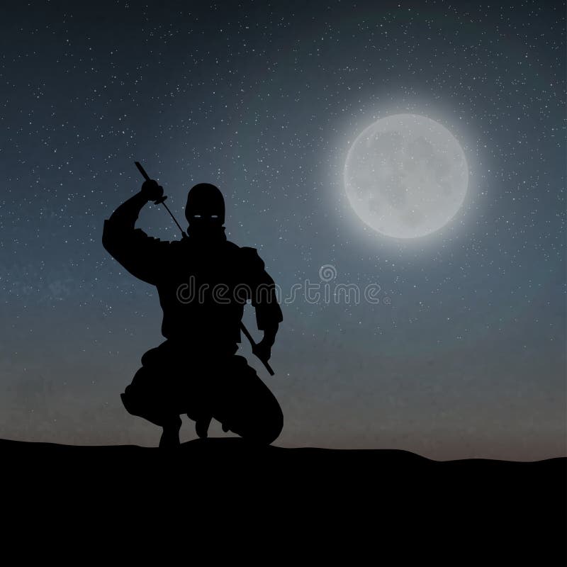 A Japanese Ninja Under the Moonlight Stock Vector - Illustration of ...