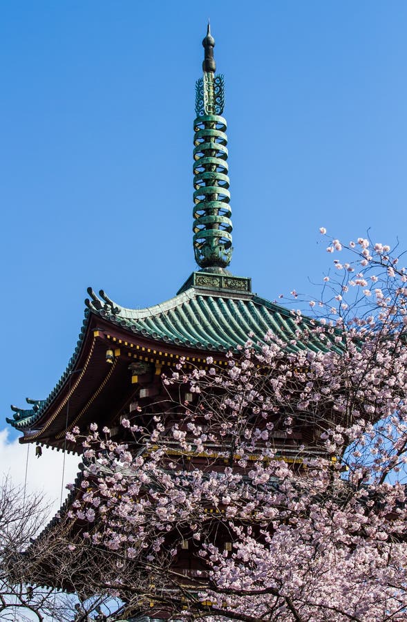 Japanese pagoda stock photo. Image of japanese, closeup - 58509904