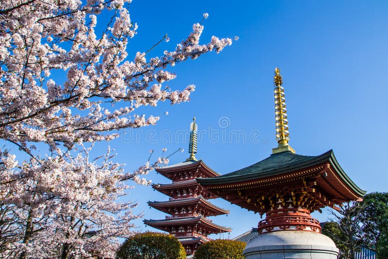 Japanese pagoda stock image. Image of japan, blooming - 53773073
