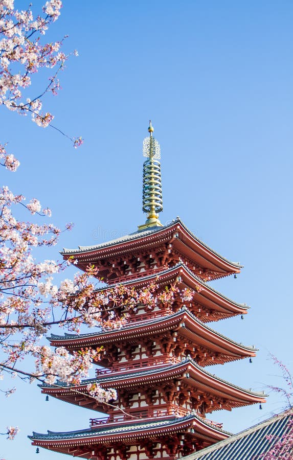 Japanese pagoda stock image. Image of branch, light, beautiful - 57351031