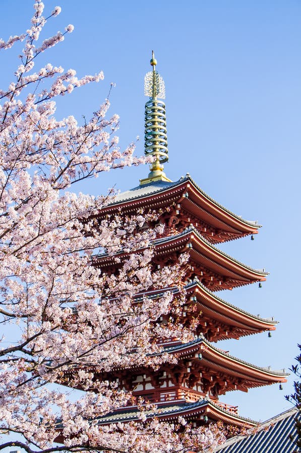 Gate and Pagoda of Senso-ji Shrine in Tokyo Stock Image - Image of dark ...