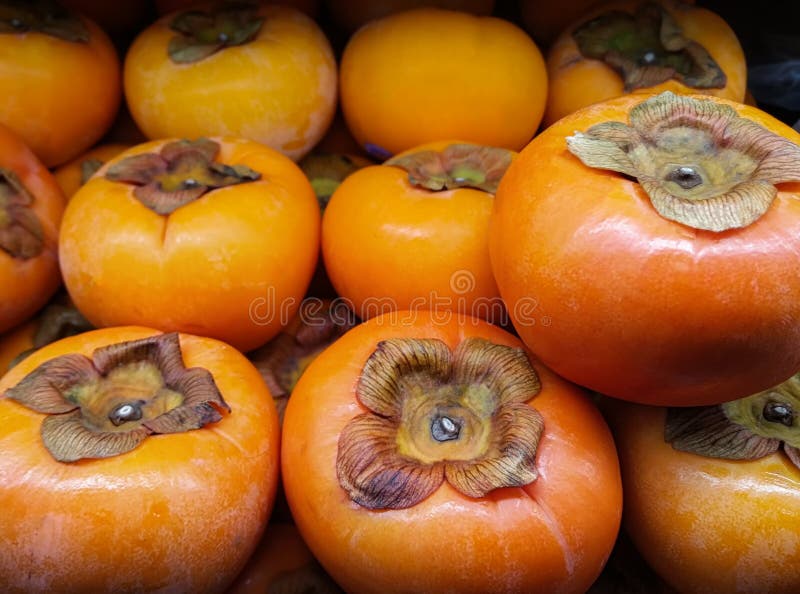 Japanese Persimmon stock photo. Image of astringent - 125498958