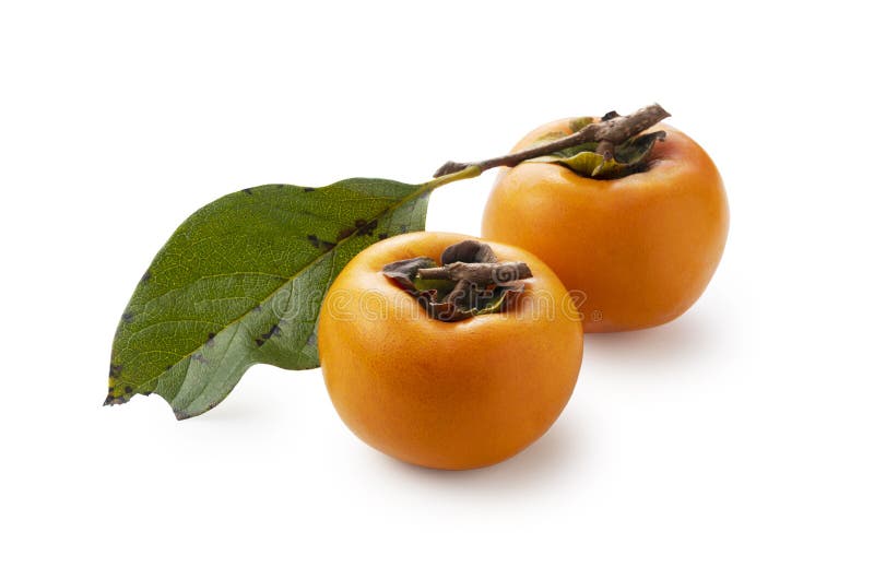 Japanese Persimmon on a White Background Stock Image - Image of autumn ...