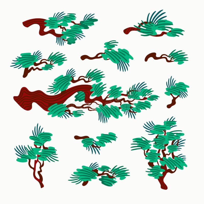 Japanese Pine Tree. Organic Flat Style Vector Illustration on White ...