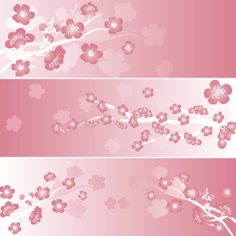 Pink sakura banner stock vector. Illustration of eastern - 42116147