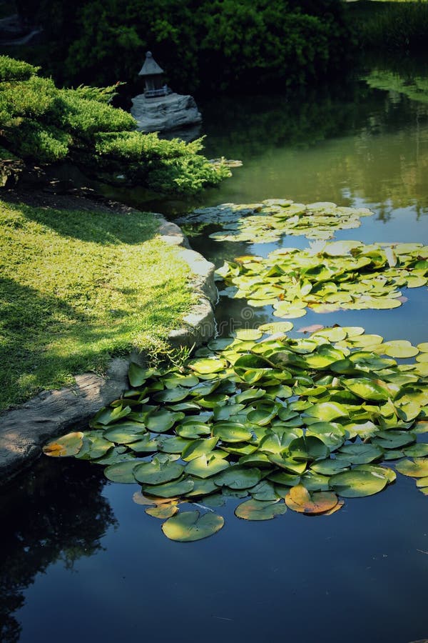 Japanese pond stock image. Image of serene, green, pasadena - 72238881