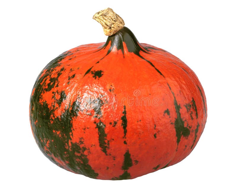 Japanese pumpkin stock photo. Image of organic, antioxidant - 16244322