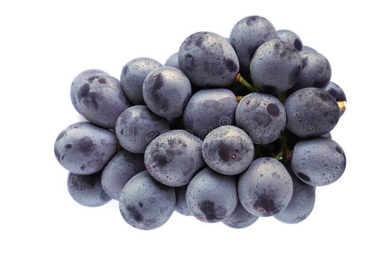 Single Purple Grape