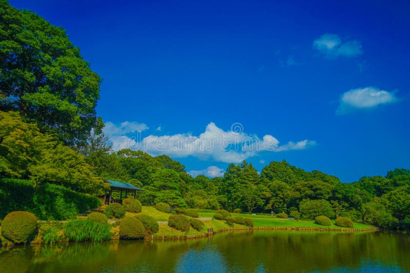 Japanese quiet pond stock image. Image of nature, style - 301357959
