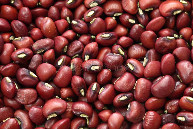 Sekihan, Japanese Steamed Sticky Rice with Red Beans Stock Image ...