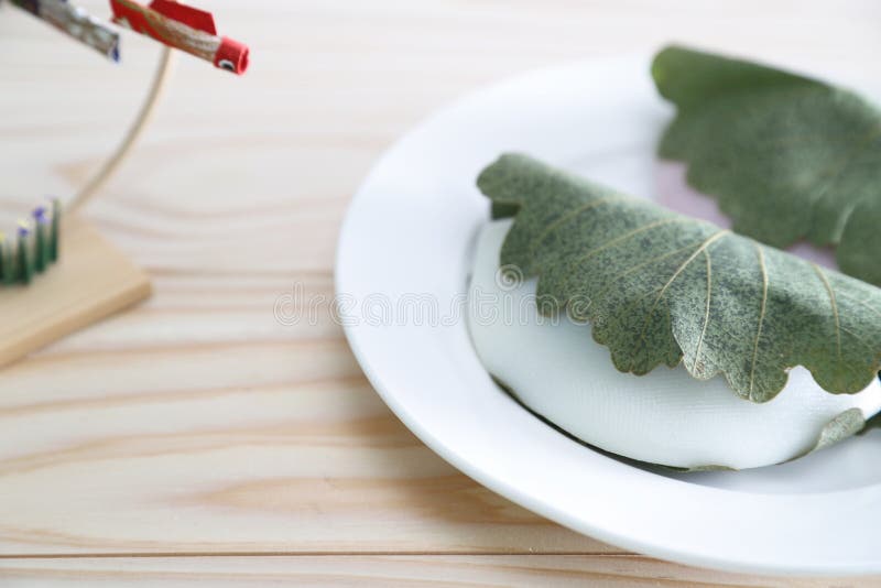 Japanese Rice Cake Wrapped in Leaves Stock Photo - Image of shot ...