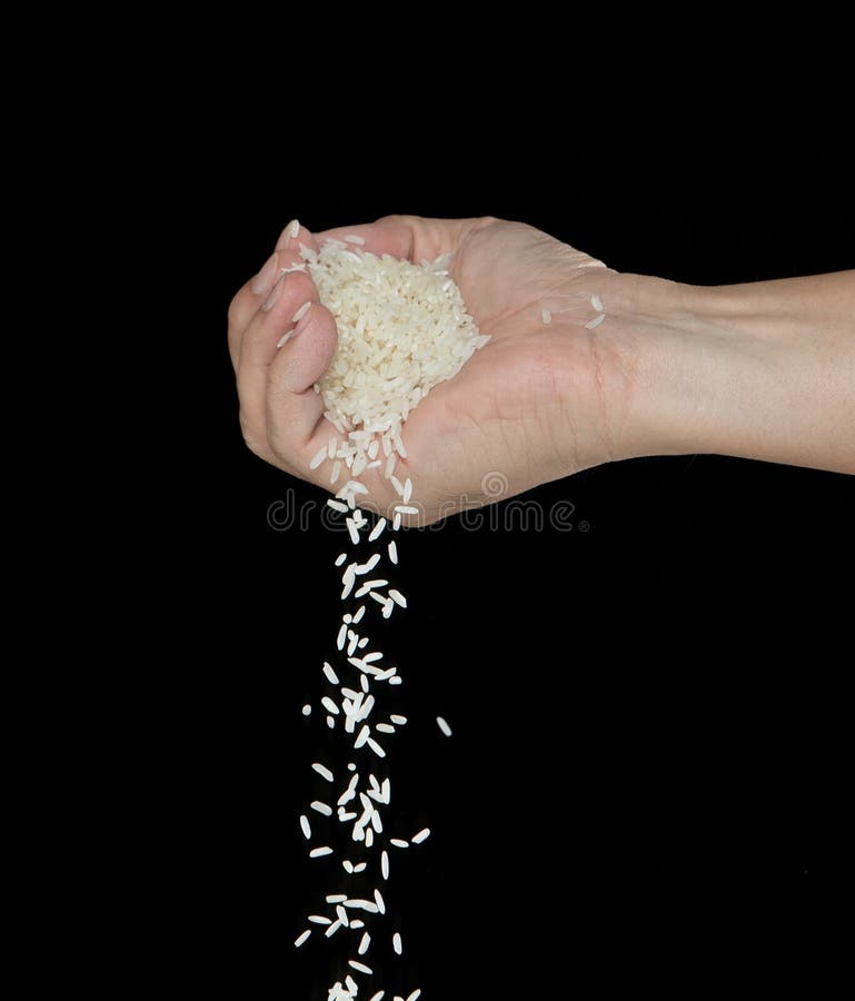 Japanese Rice Flying Explosion, White Grain Rices Explode Abstract ...