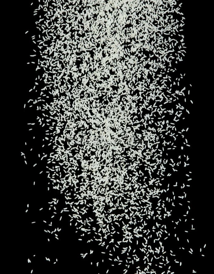 Japanese Rice Flying Explosion, White Grain Rices Explode Abstract ...